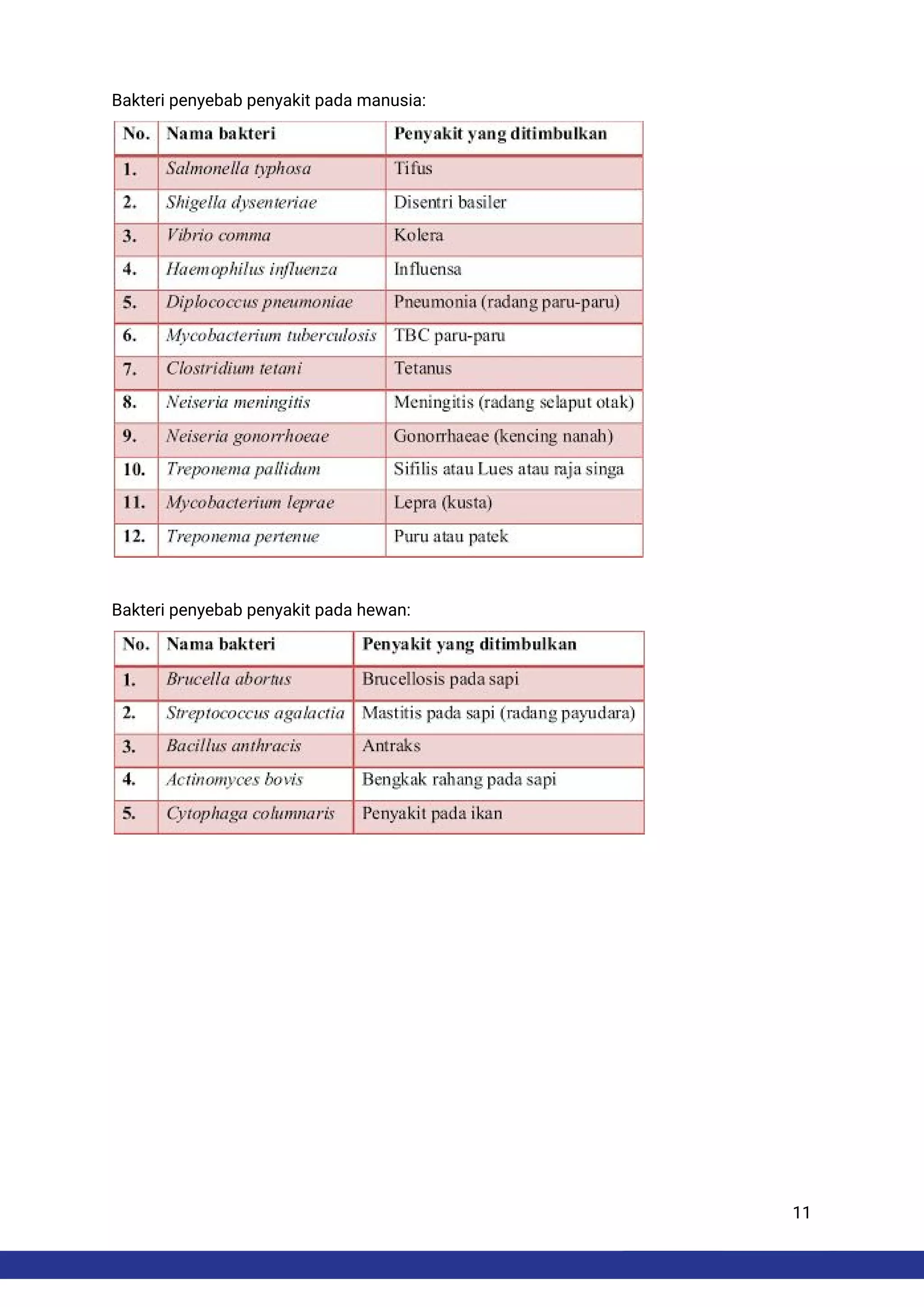 Mengenal Archaebacteria dan Eubacteria | PDF