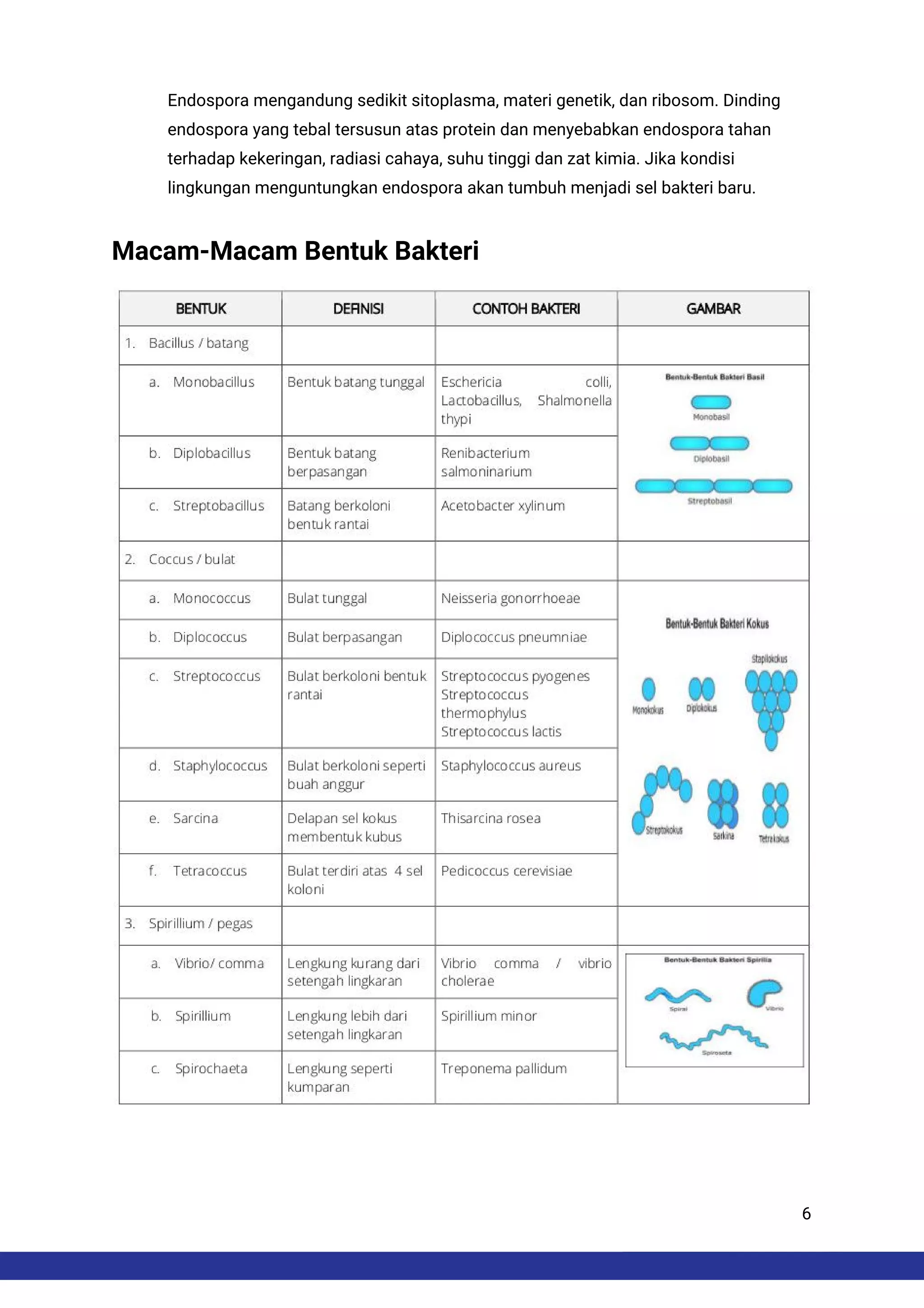 Mengenal Archaebacteria dan Eubacteria | PDF