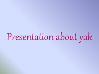 Yak | PPTX