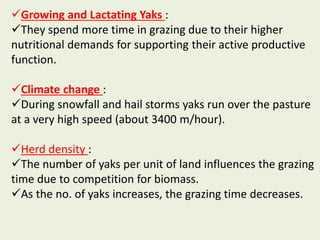 NUTRITION ON YAK | PPTX