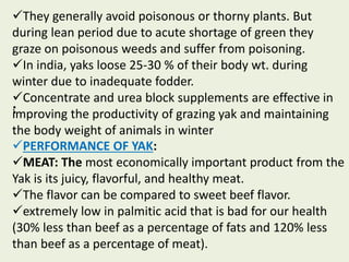 NUTRITION ON YAK | PPTX