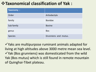 NUTRITION ON YAK | PPT