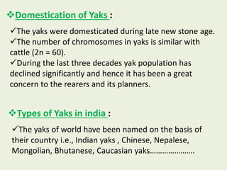 NUTRITION ON YAK | PPTX