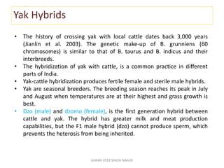 Yak genetic resources of india | PPTX