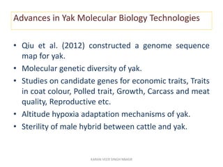 Yak genetic resources of india | PPTX
