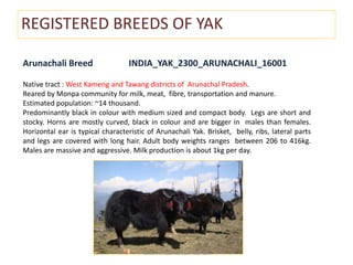 Yak genetic resources of india | PPTX