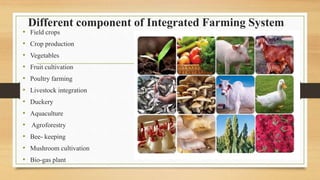 yaksh_1.pptxdZSFaFAFCAd2fqdq4QQfwgftwrta | PPT