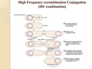 Bacterial conjugation and its application | PPTX