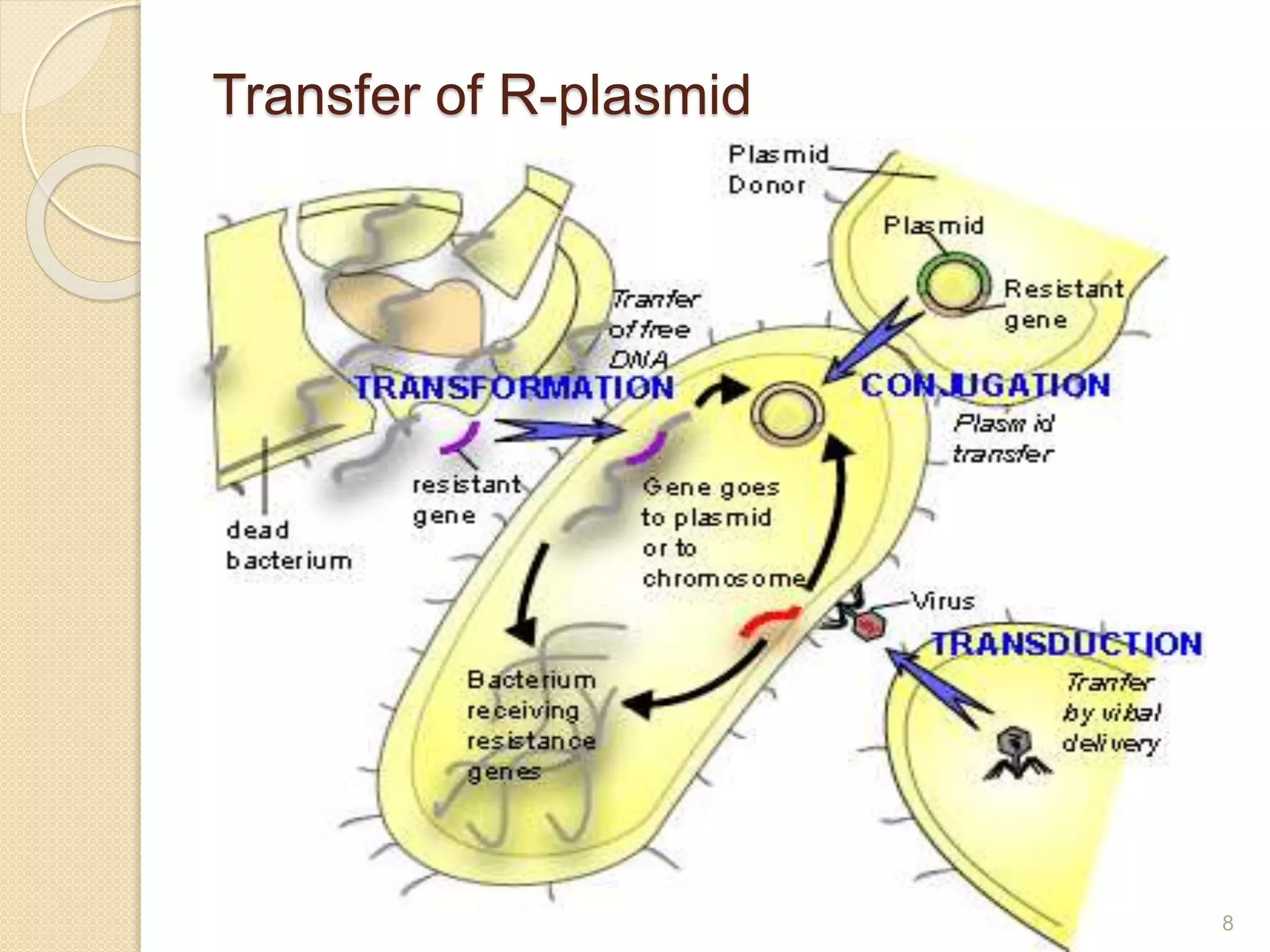 Plasmid and antibiotic resistance | PPTX