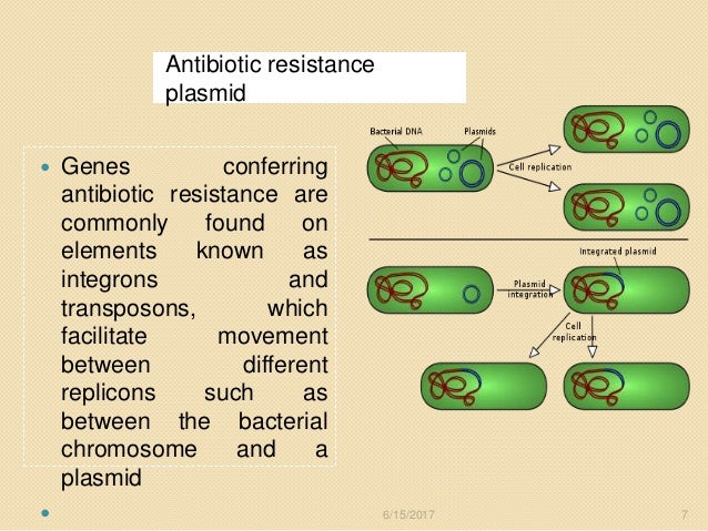 Plasmid and antibiotic resistance