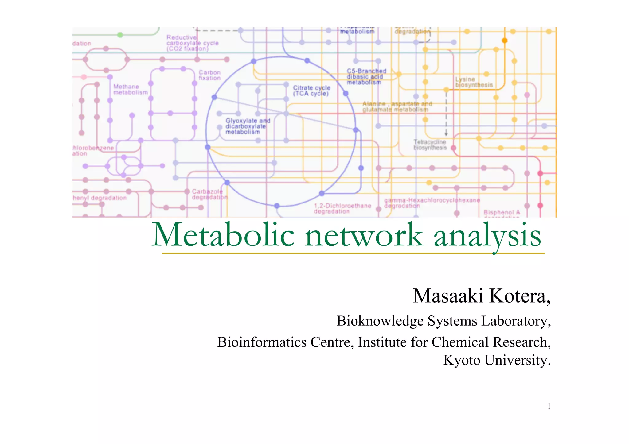 Metabolic Network Analysis Pdf Biological Sciences Science