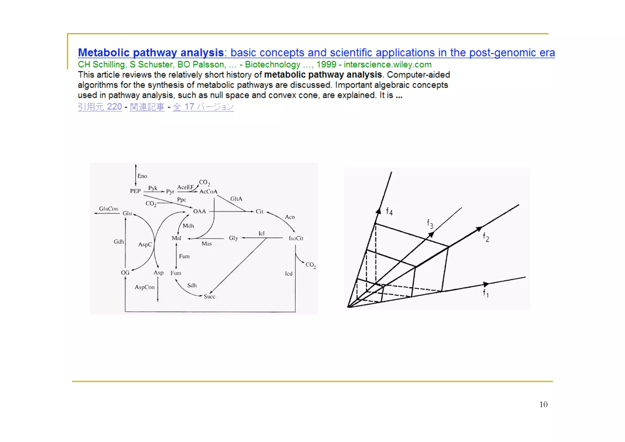 Metabolic Network Analysis Pdf Biological Sciences Science