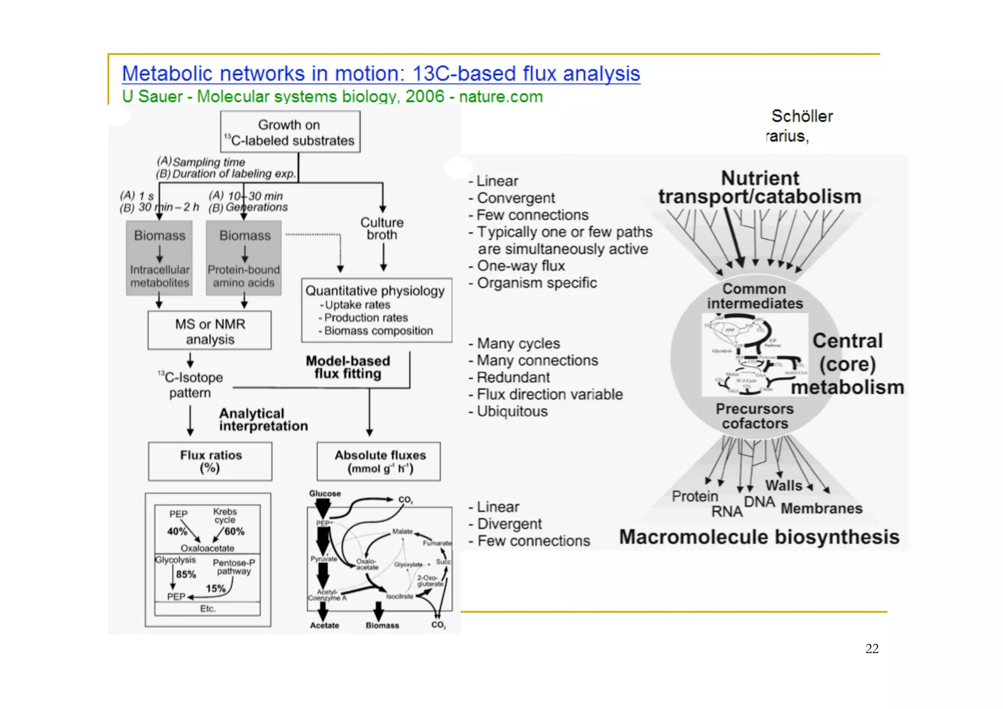 Metabolic Network Analysis Pdf Biological Sciences Science