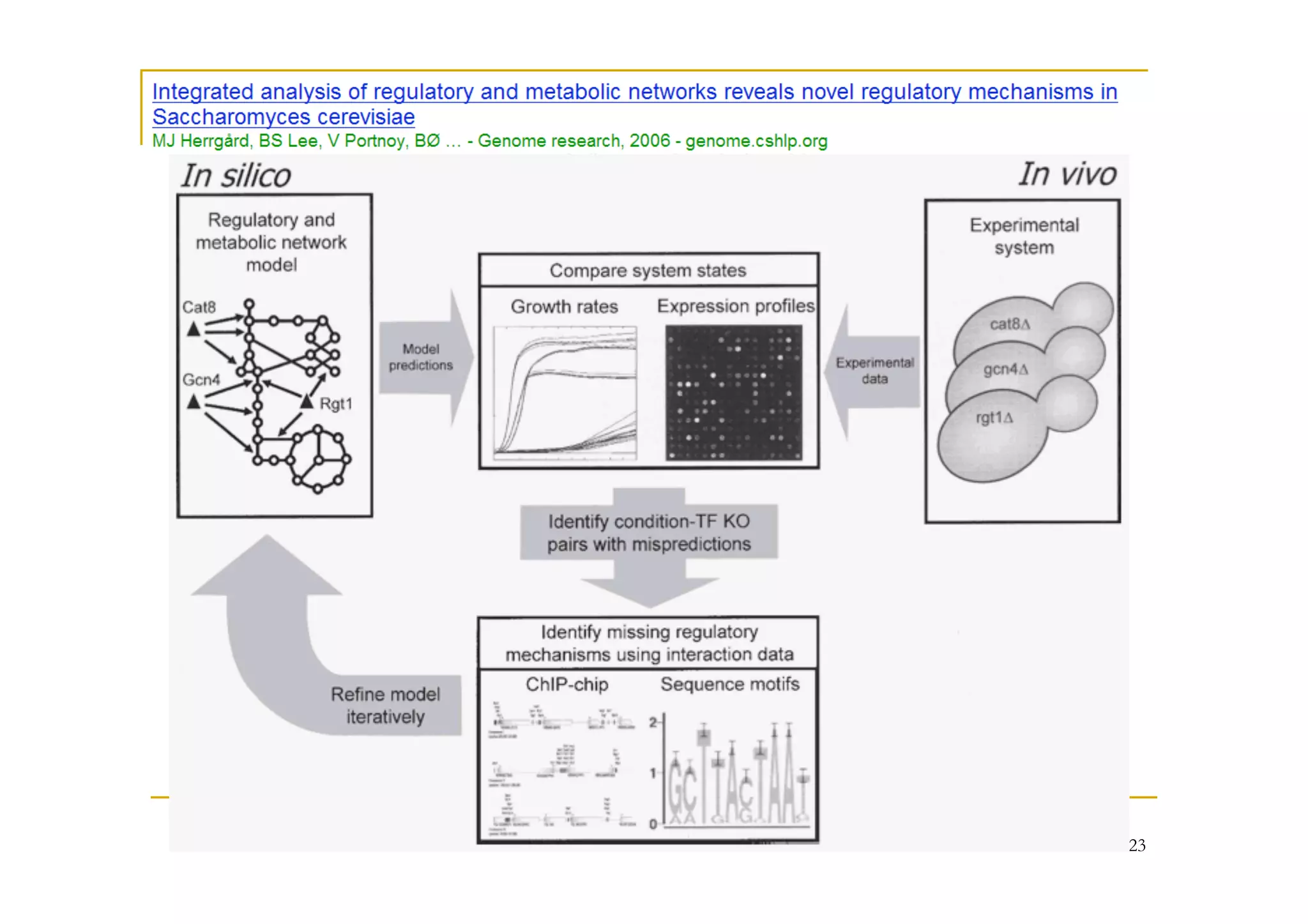 Metabolic Network Analysis Pdf Biological Sciences Science