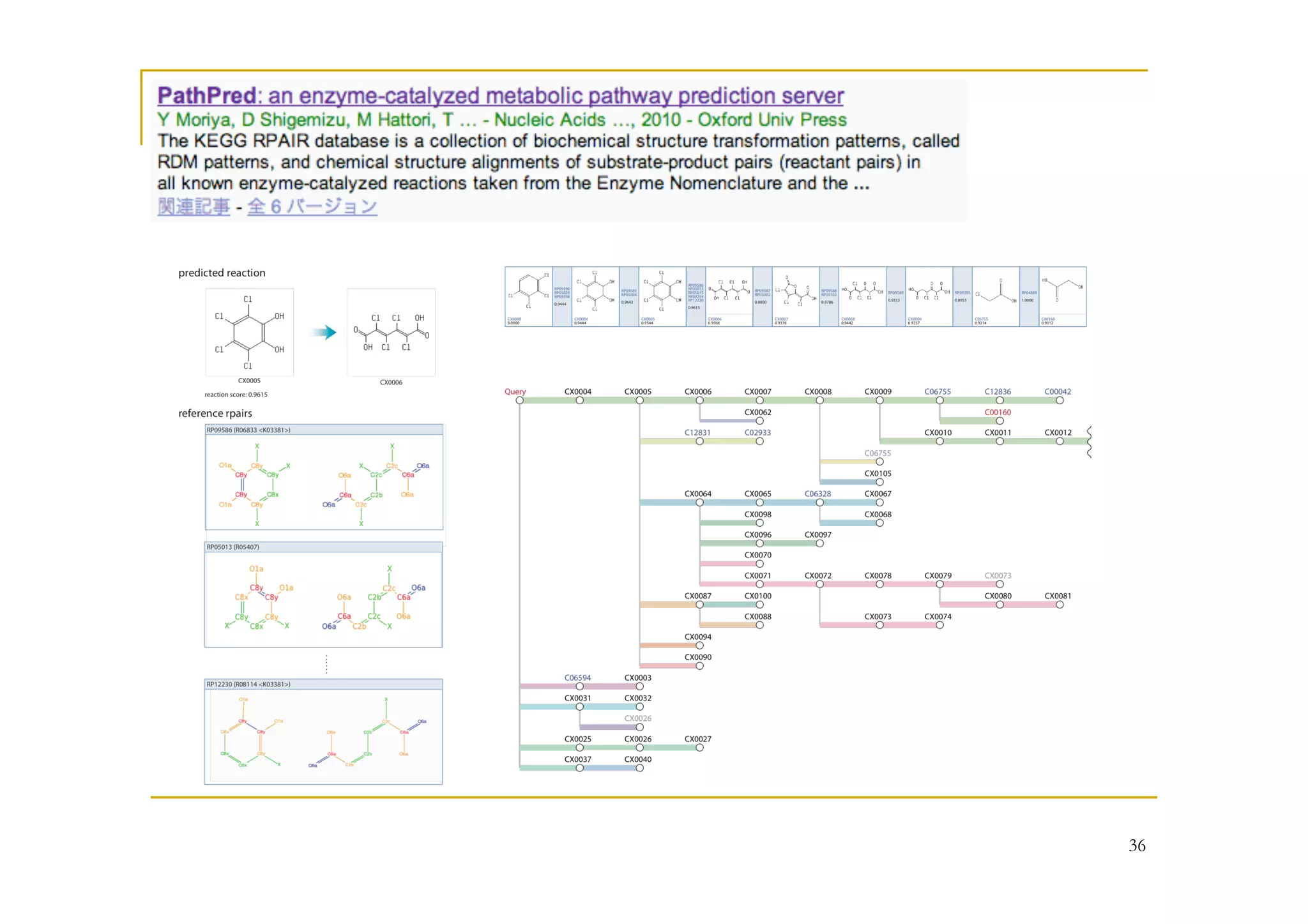 Metabolic Network Analysis Pdf Biological Sciences Science