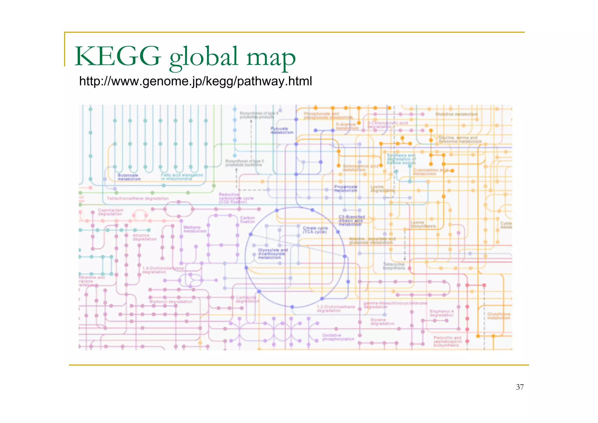 Metabolic Network Analysis Pdf Biological Sciences Science