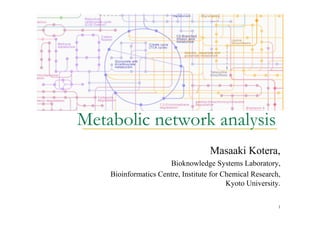 Metabolic Network Analysis | PDF