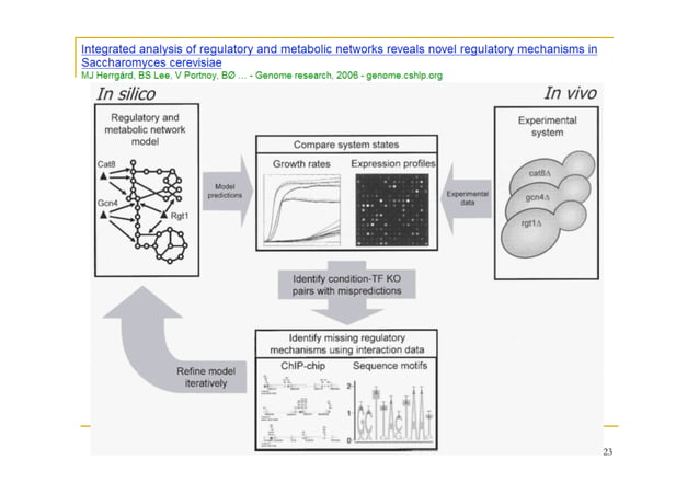 Metabolic Network Analysis | PDF | Biological Sciences | Science