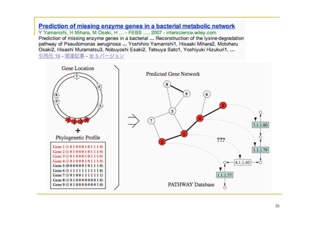 Metabolic Network Analysis Pdf Biological Sciences Science