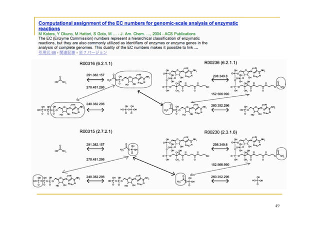 Metabolic Network Analysis Pdf Biological Sciences Science