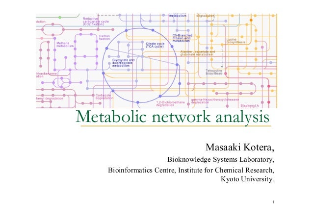 Metabolic Network Analysis