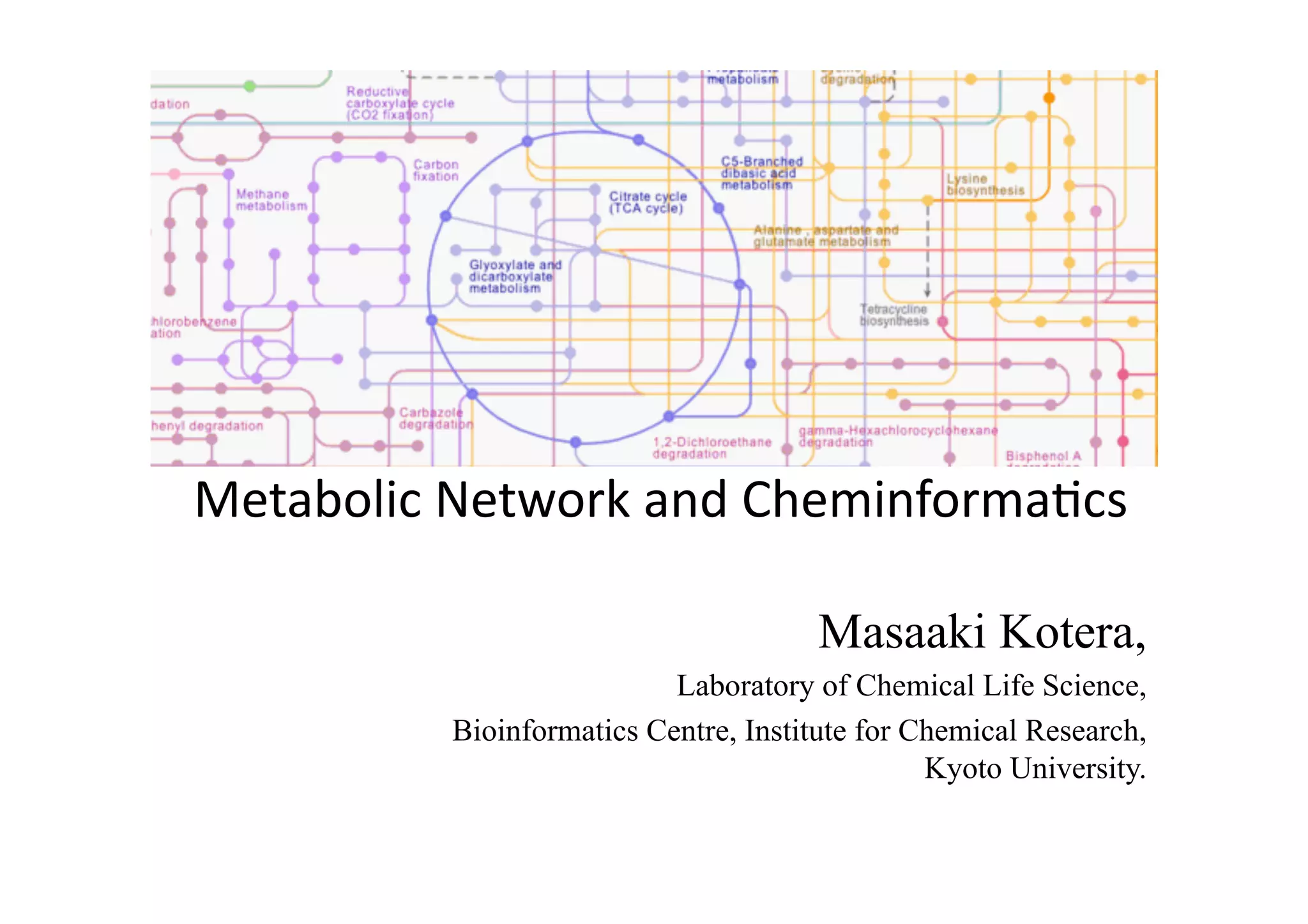 Metabolic network and cheminformatics | PPT