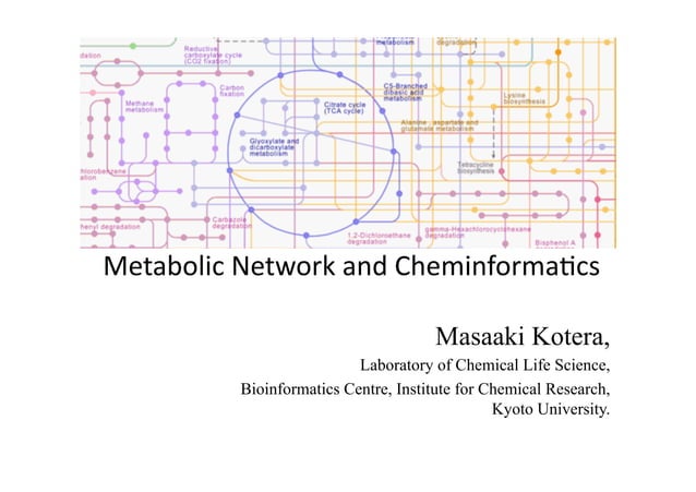 Metabolic network and cheminformatics | PPT