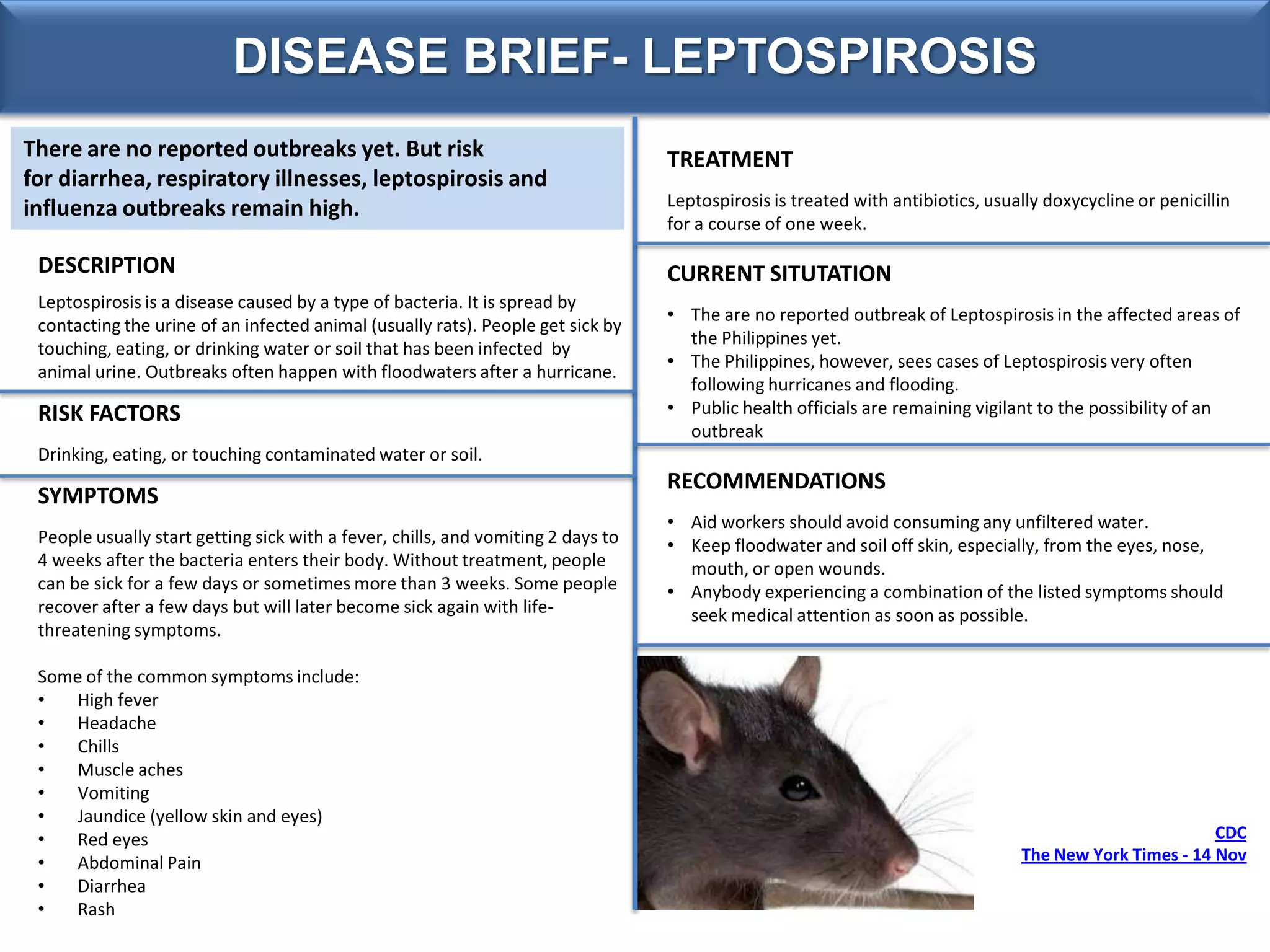Yale-Tulane Special Report - Typhoon Haiyan (Yolanda) - The Philippines ...