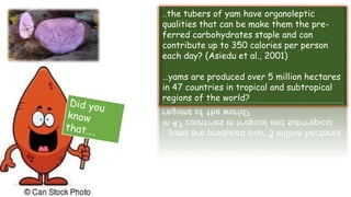 Yam | PPTX