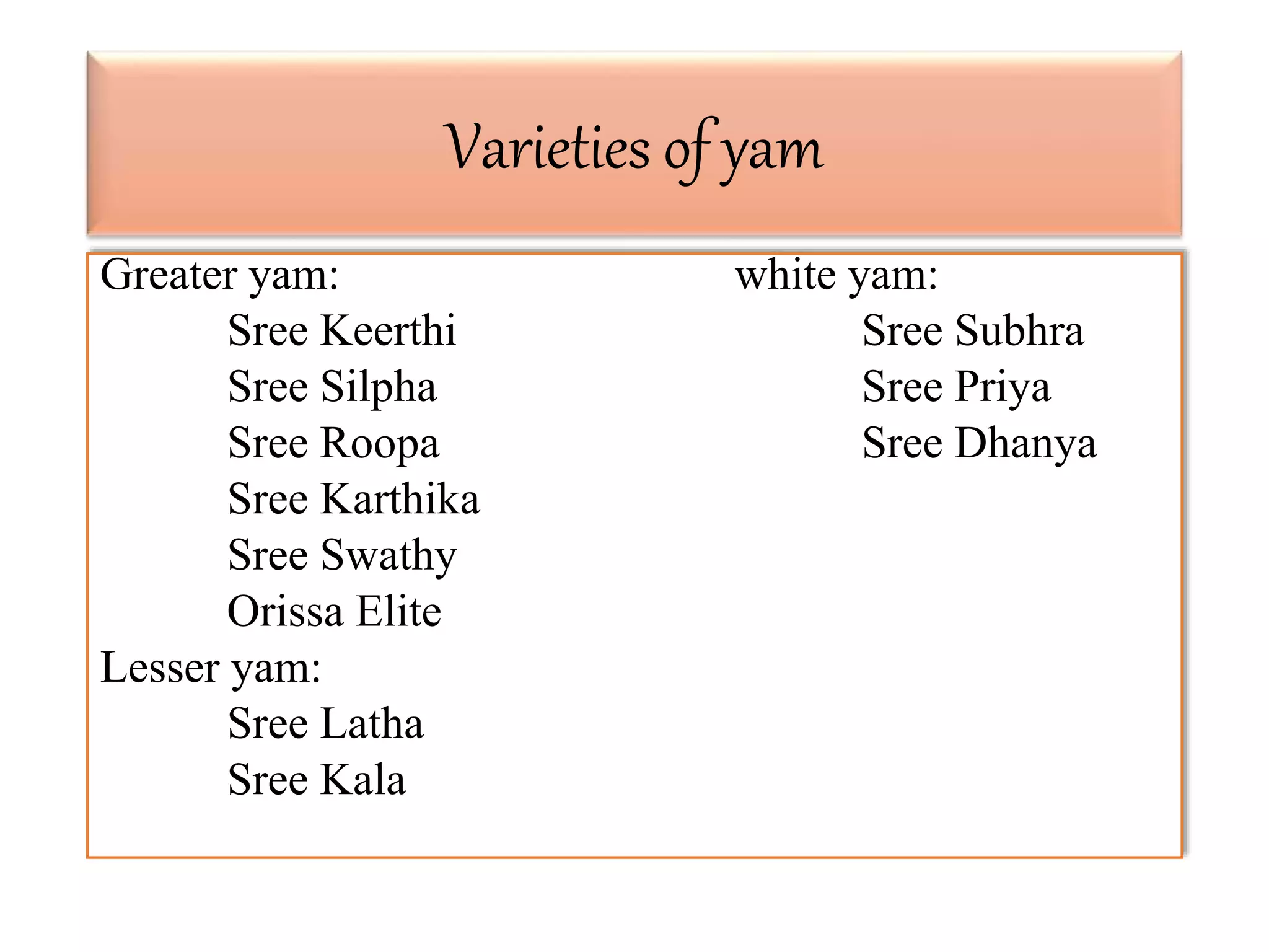 Yam | PPTX