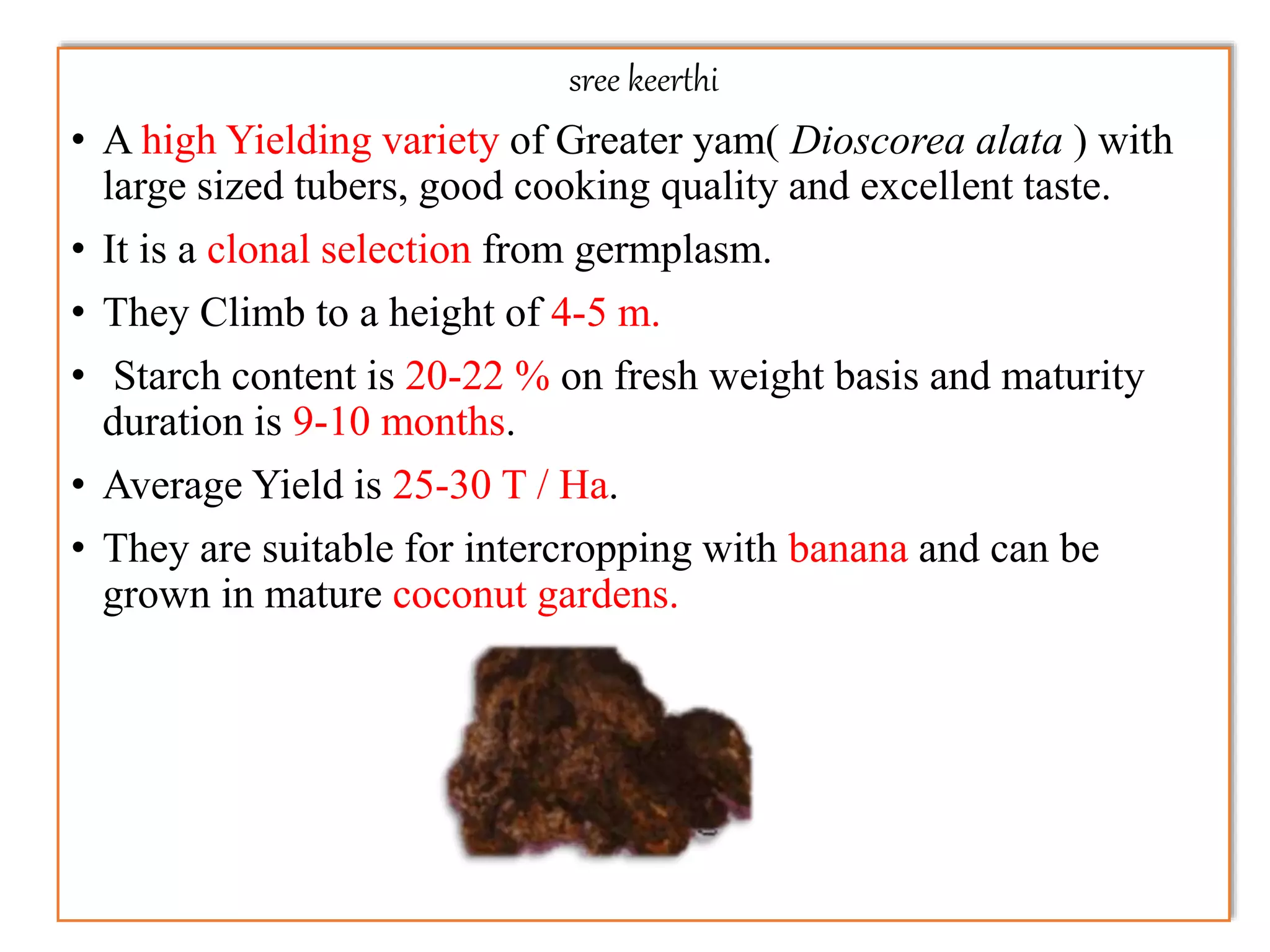 Yam | PPTX
