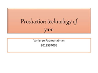 Yam | PPTX