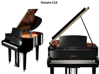Yamaha C1X | PPT