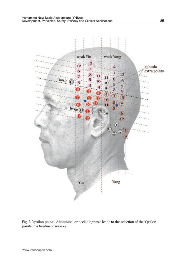 Yamamoto new scalp acupuncture | PDF | Physical Therapy | Wellness