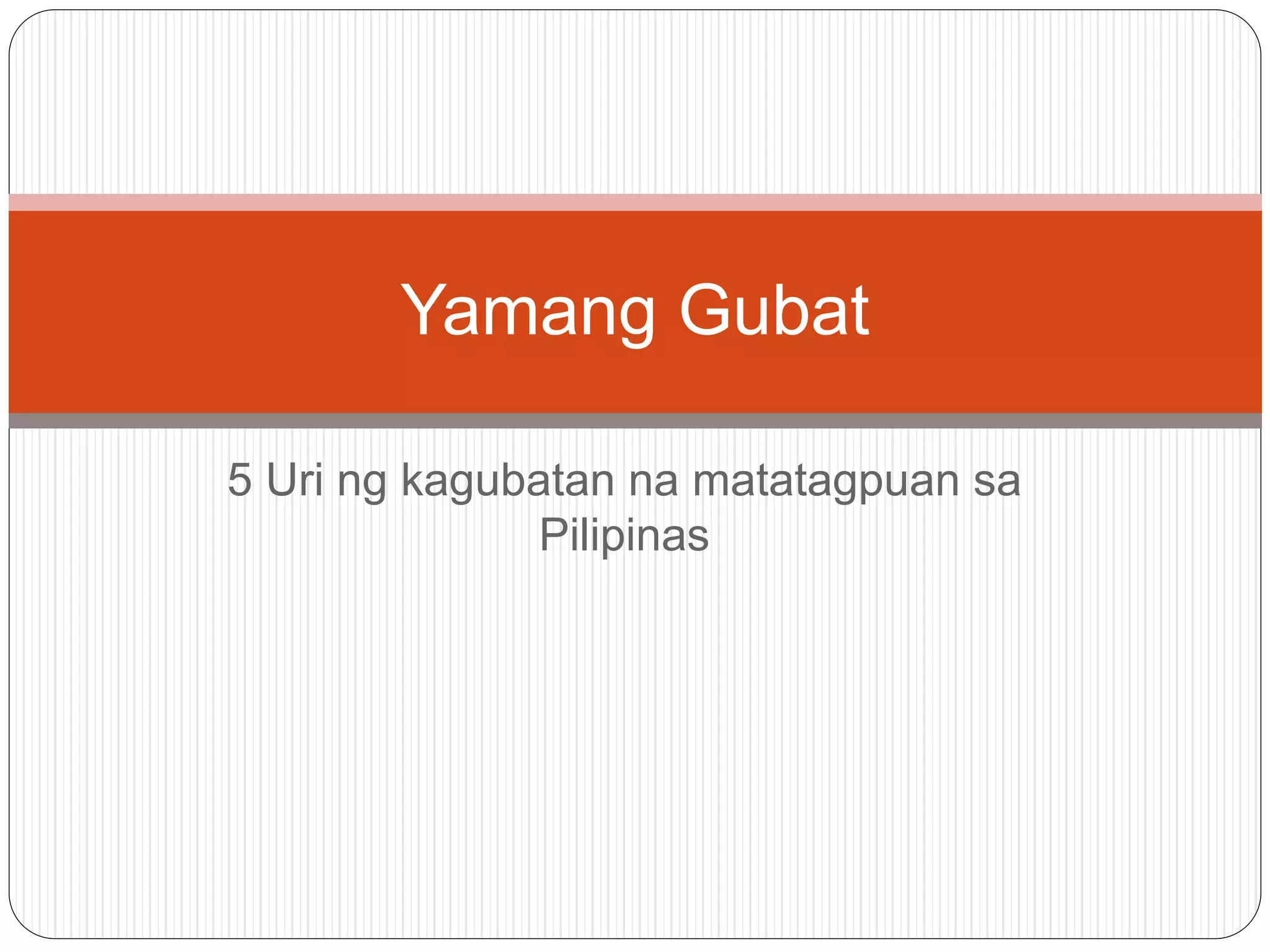 Yamang gubat | PPTX