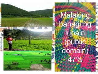 Yamang lupa | PPTX