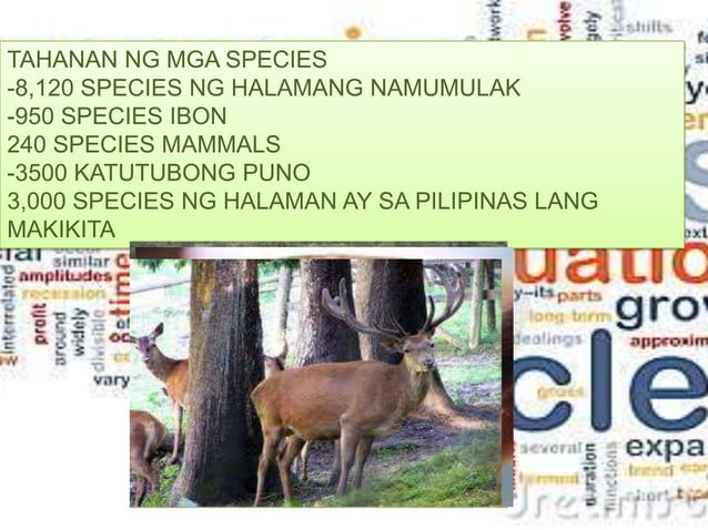 Yamang lupa(group barn of the farmers) | PPTX