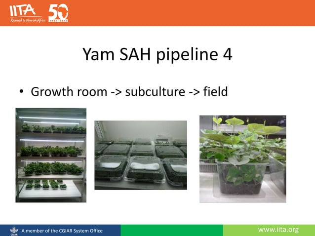 Semi-Autotrophic Hydroponics: A robust high-ratio propagation technique ...