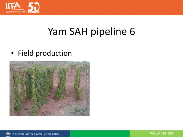 Semi-Autotrophic Hydroponics: A robust high-ratio propagation technique ...