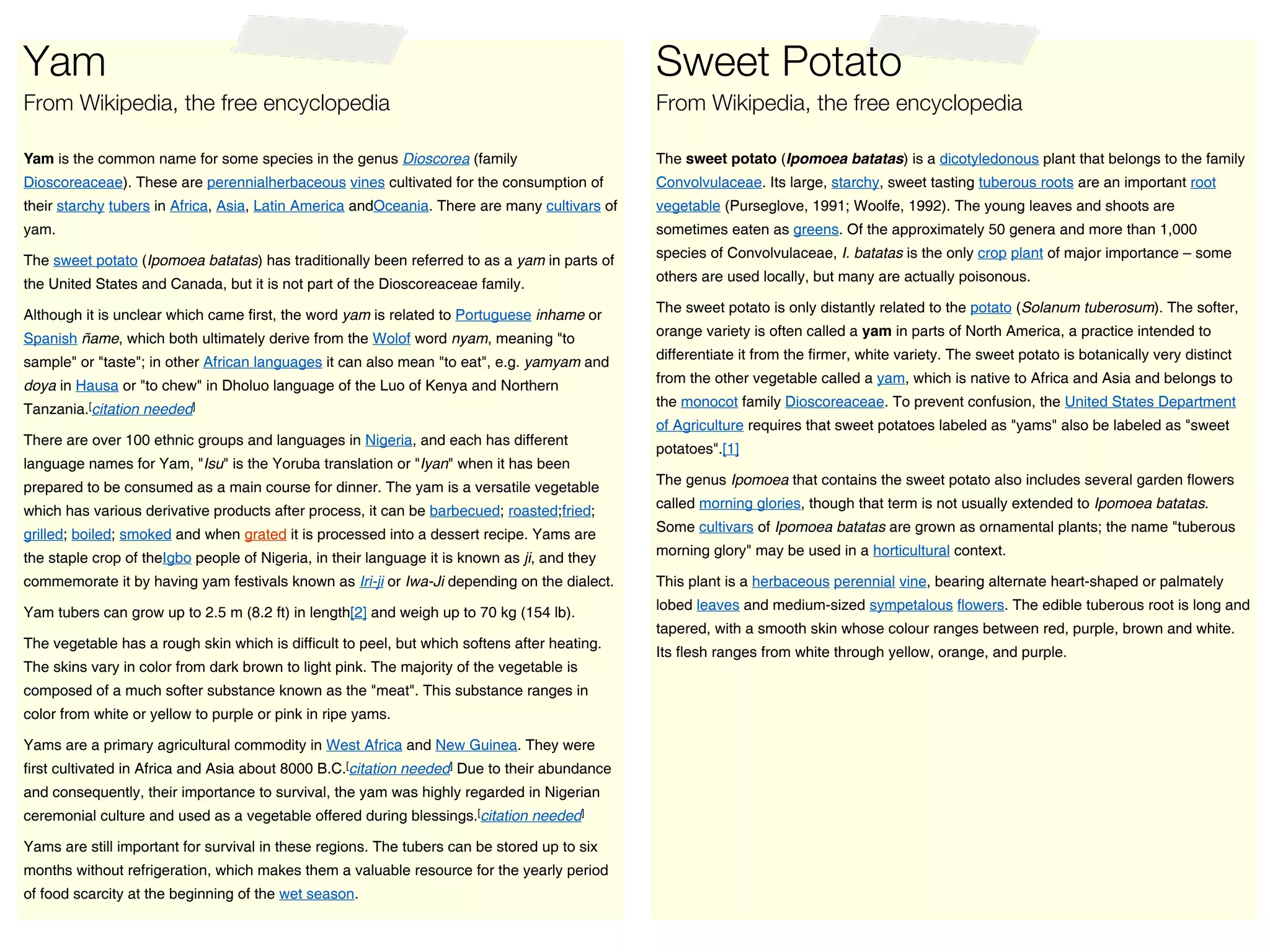 Yams versus sweet potatoes | KEY
