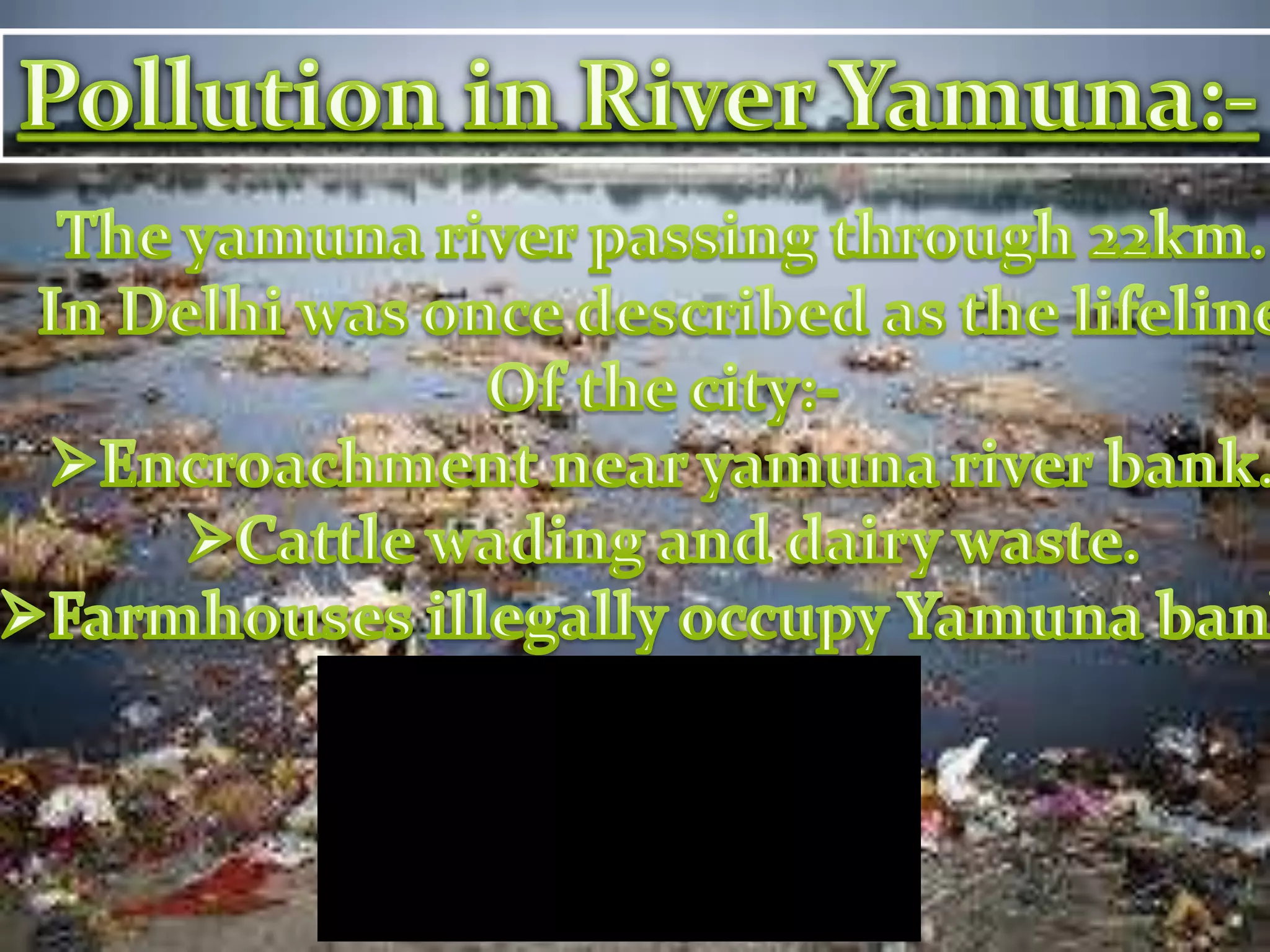 Yamuna action plan | PPTX