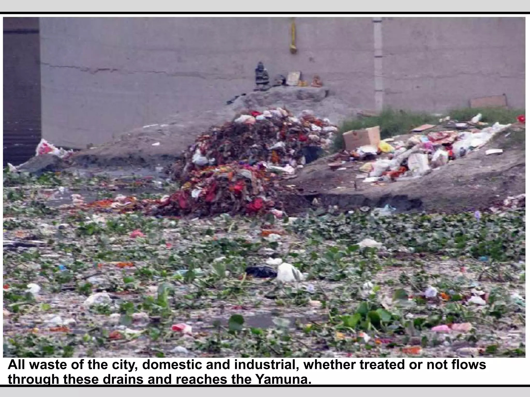 Yamuna action plan | PDF