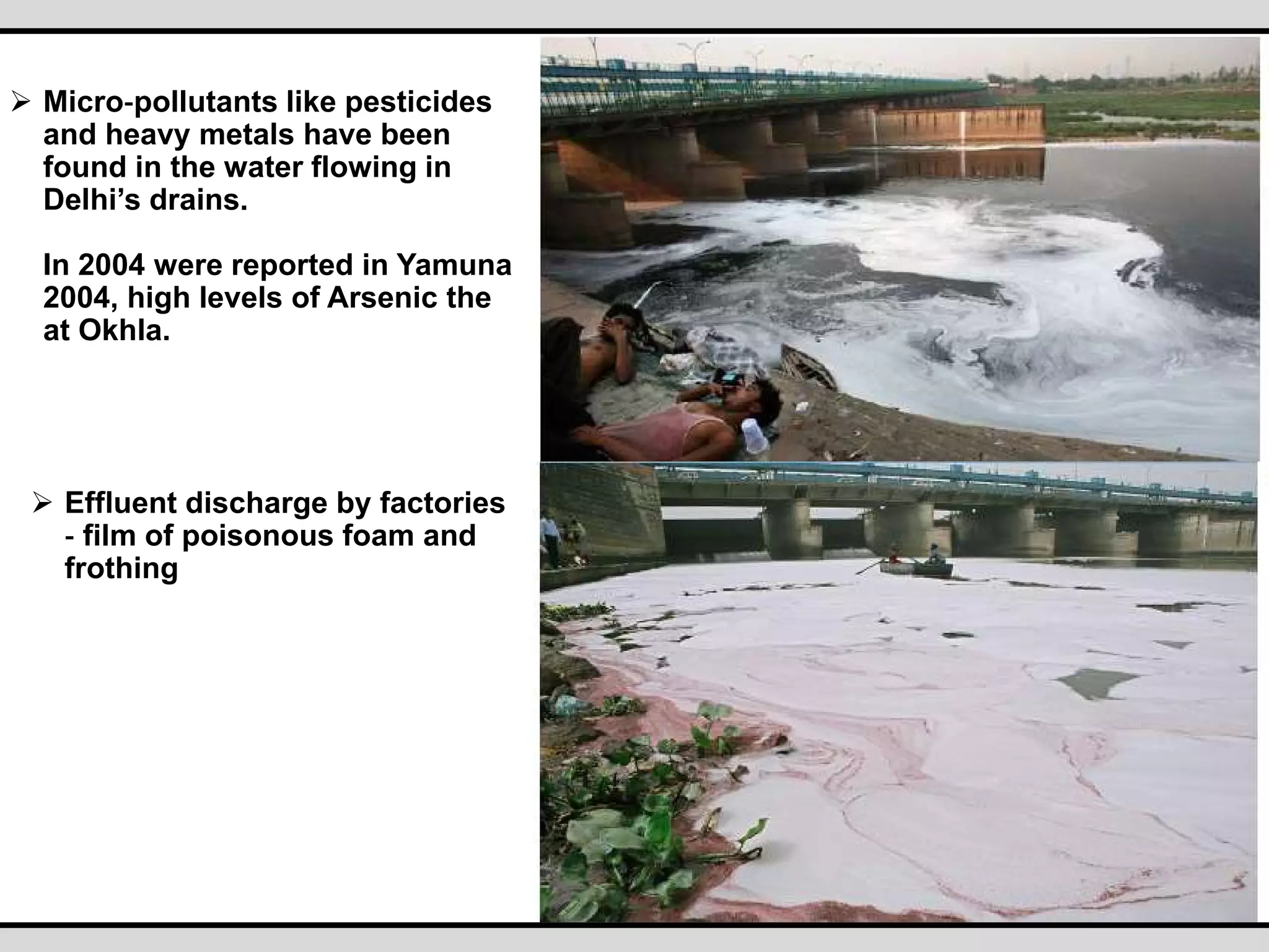 Yamuna action plan | PDF