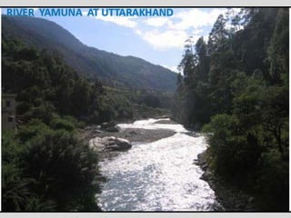 Yamuna action plan | PDF