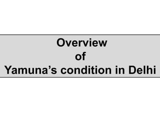 Yamuna action plan | PDF