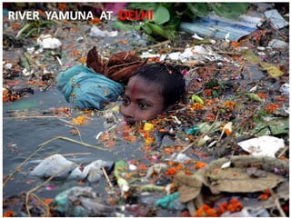 Yamuna action plan | PDF