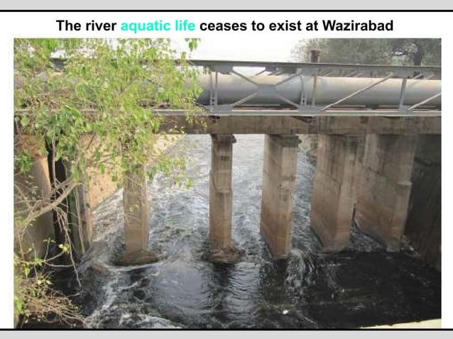 Yamuna action plan | PDF