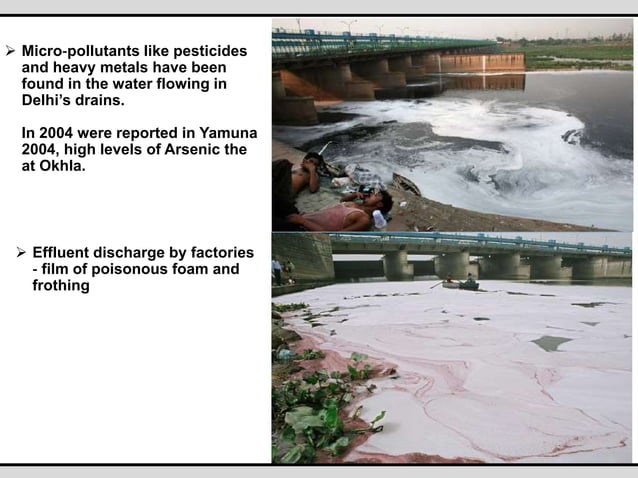Yamuna action plan | PDF