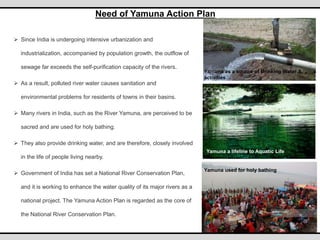 Yamuna action plan | PDF