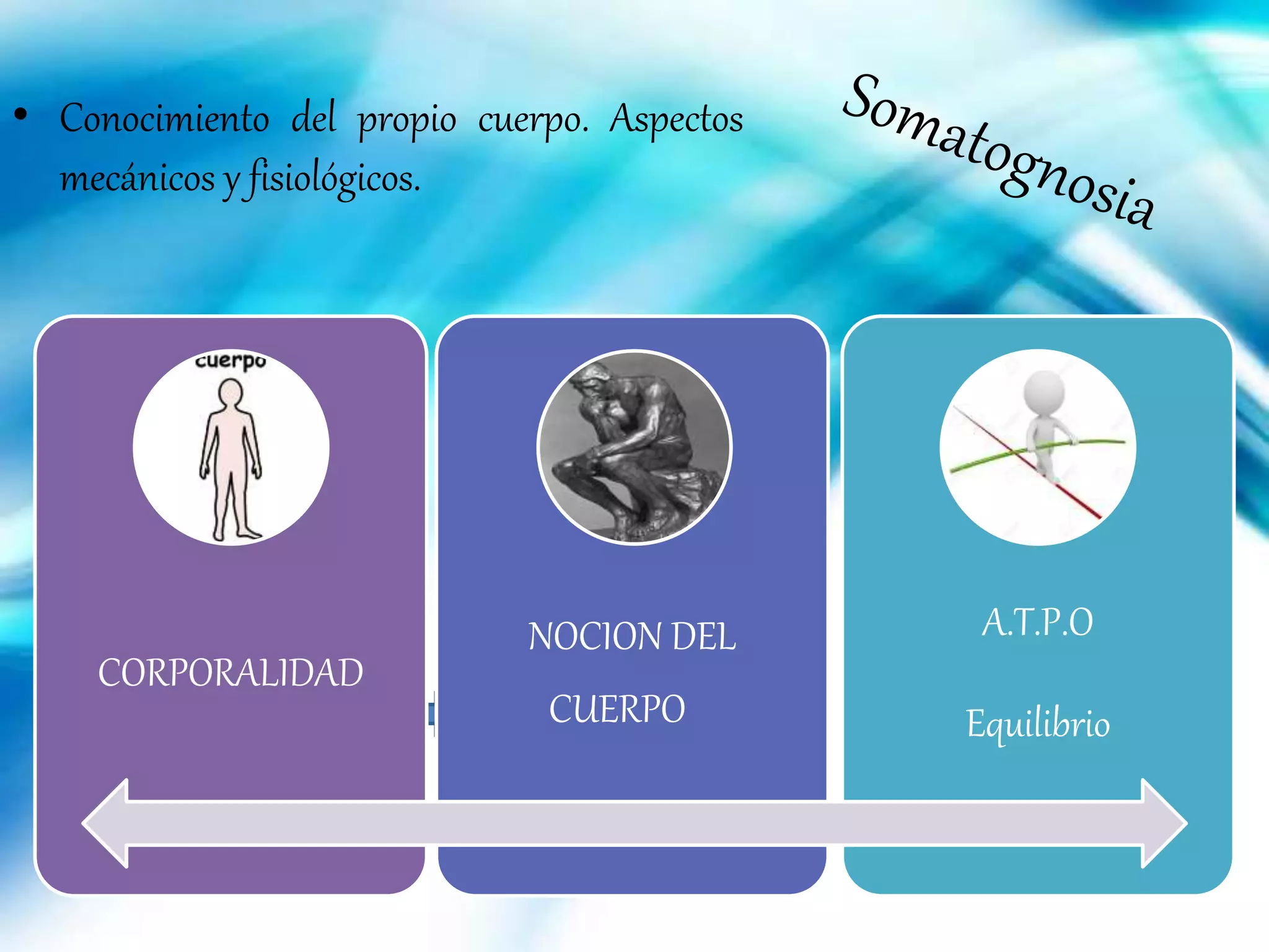 CAPACIDADES PERCEPTIVO MOTRICES (Marta Castañer Balcells, ‎Oleguer ...